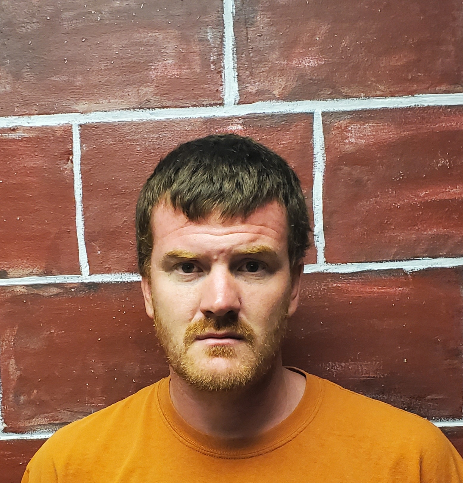 Most recent image of VARVAIS, THOMAS NOLAN
